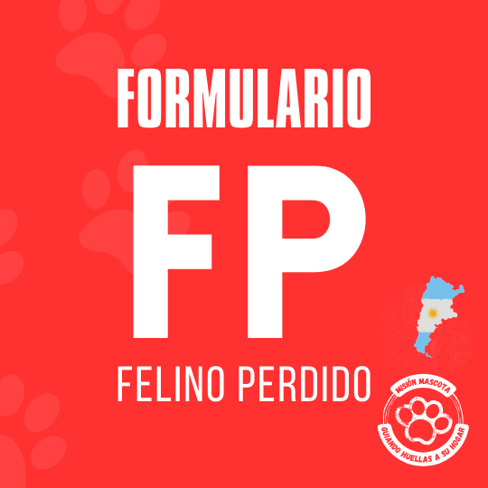 🐱🔴📋 Formulario Felino Perdido - Misión Mascota
